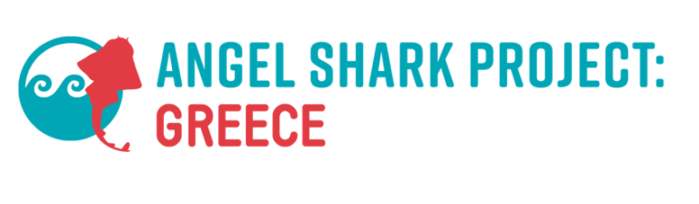 Angel Shark Project – Our aim is to secure the future of Critically Endangered angel sharks